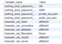 MySQL SESSION VARIABLES